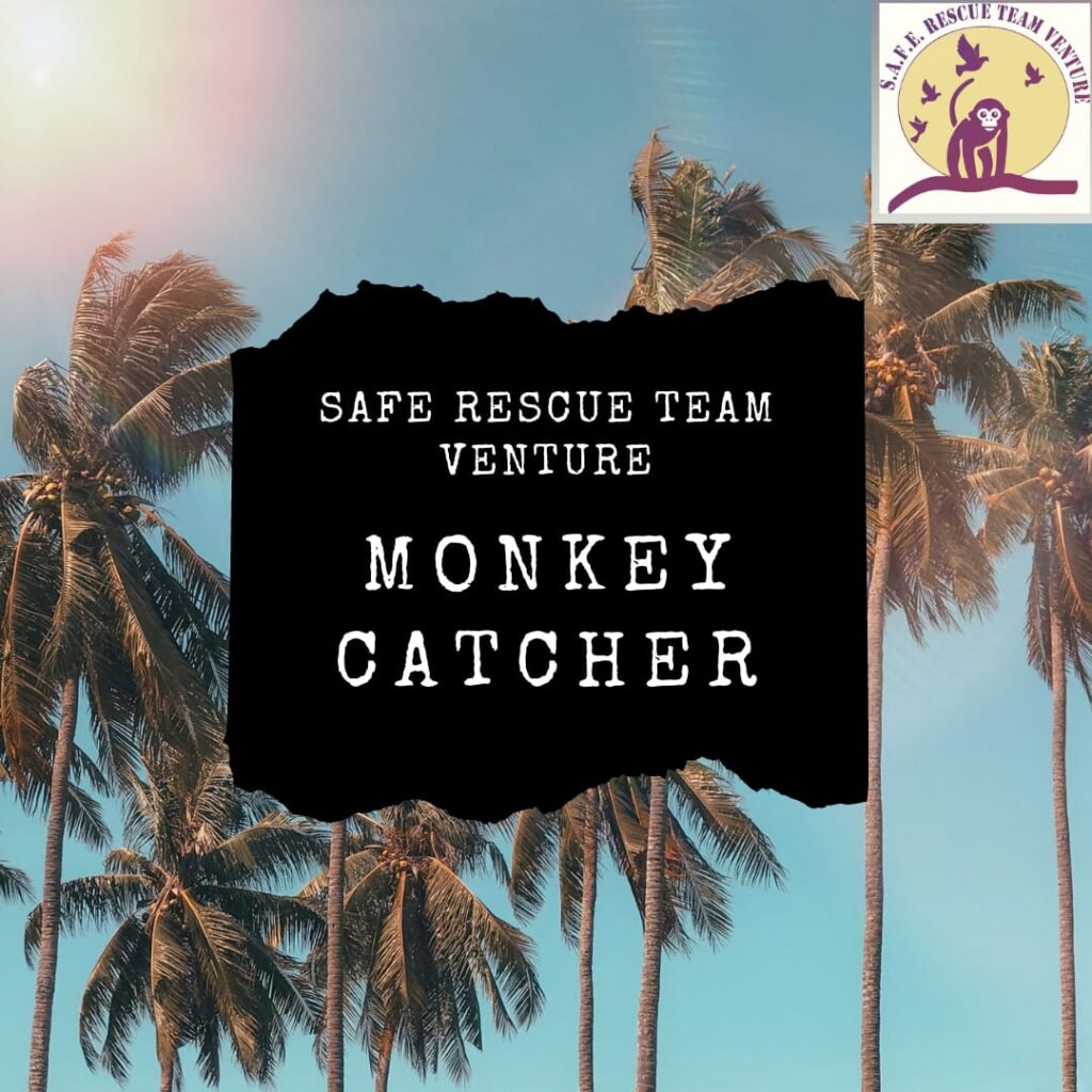 MONKEY CATCHER IN GURUGRAM - Safe Rescue Team
